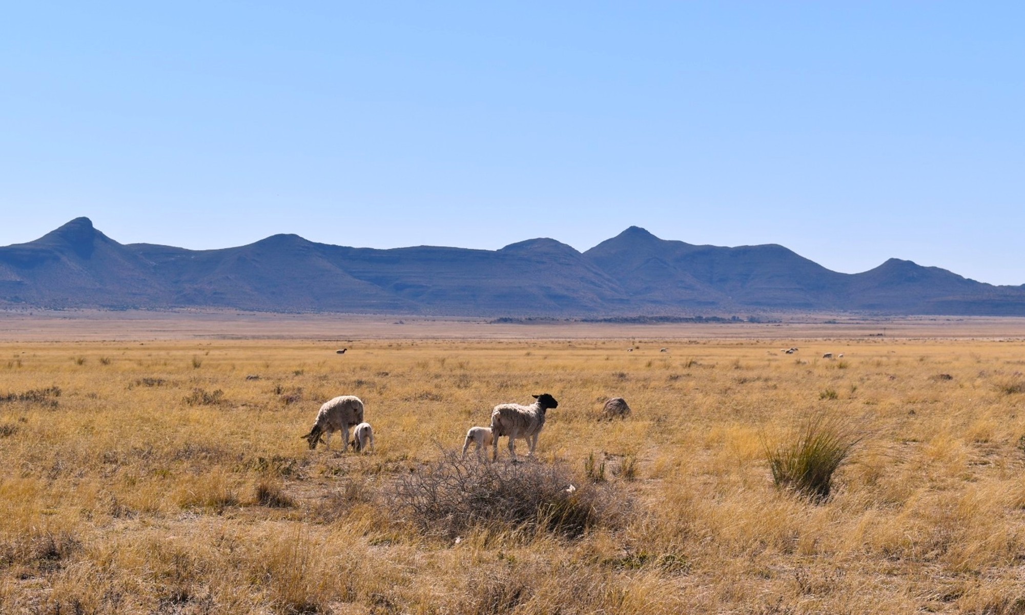 Developing Knitting Retreats in South Africa - Threaded Journeys